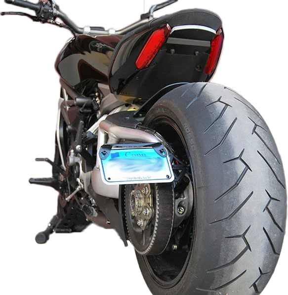 Ducati Diavel 1260 Side Mount License Plate (2 Position) (2019 - Prese ...